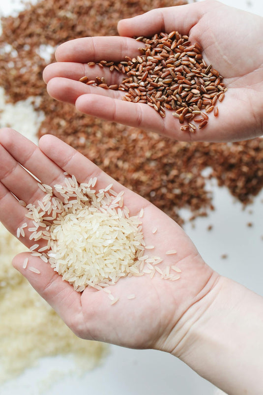 What is Koji? Discover the Benefits and Uses of This Ancient Ingredient ...